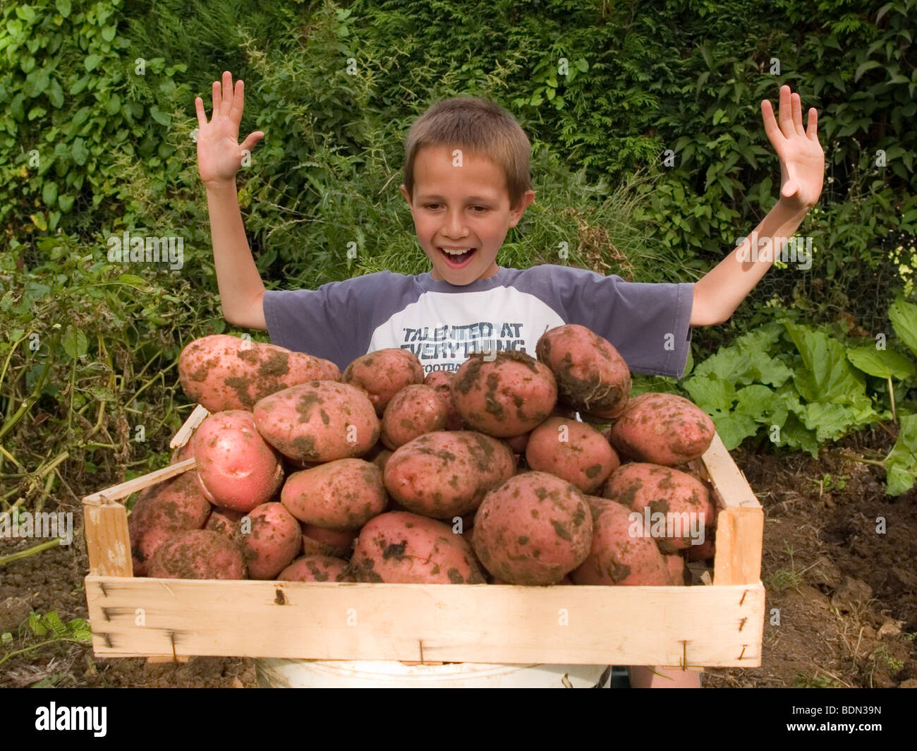 boy with potatoes Stock Photo - Alamy