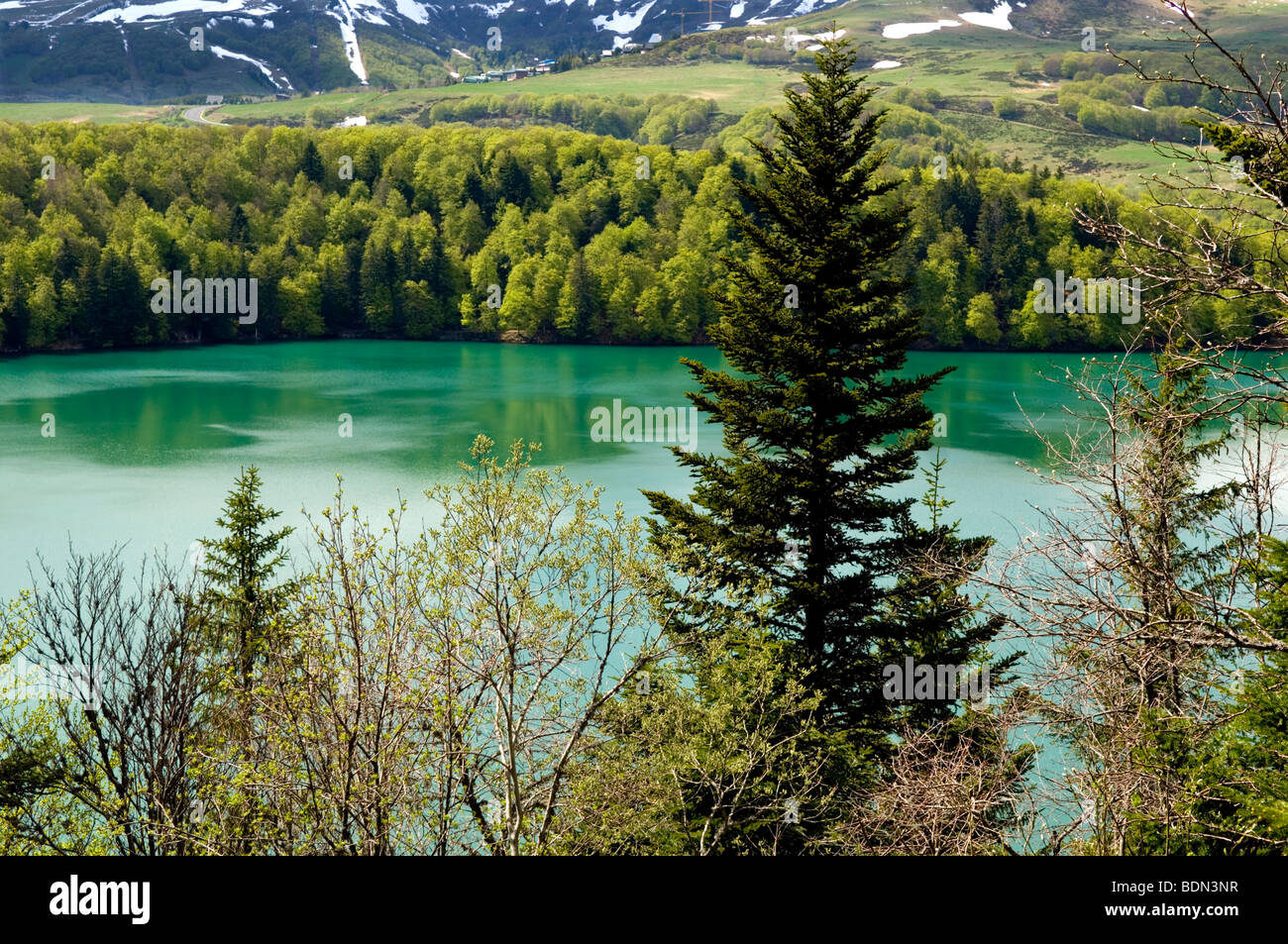 Pavin Lake in Auvergne, France Stock Photo - Alamy