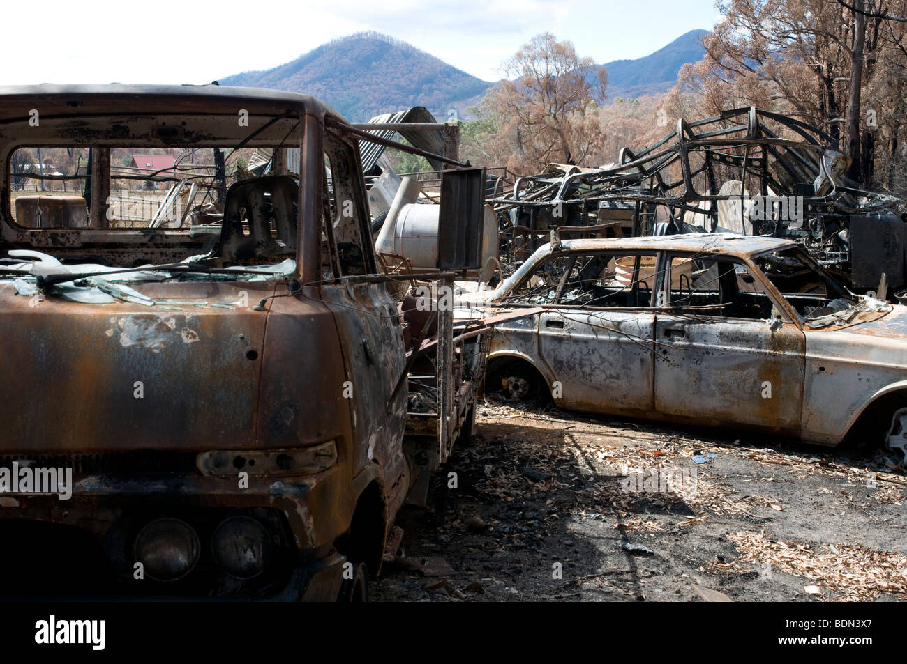 Devastation after bushfires Stock Photo - Alamy
