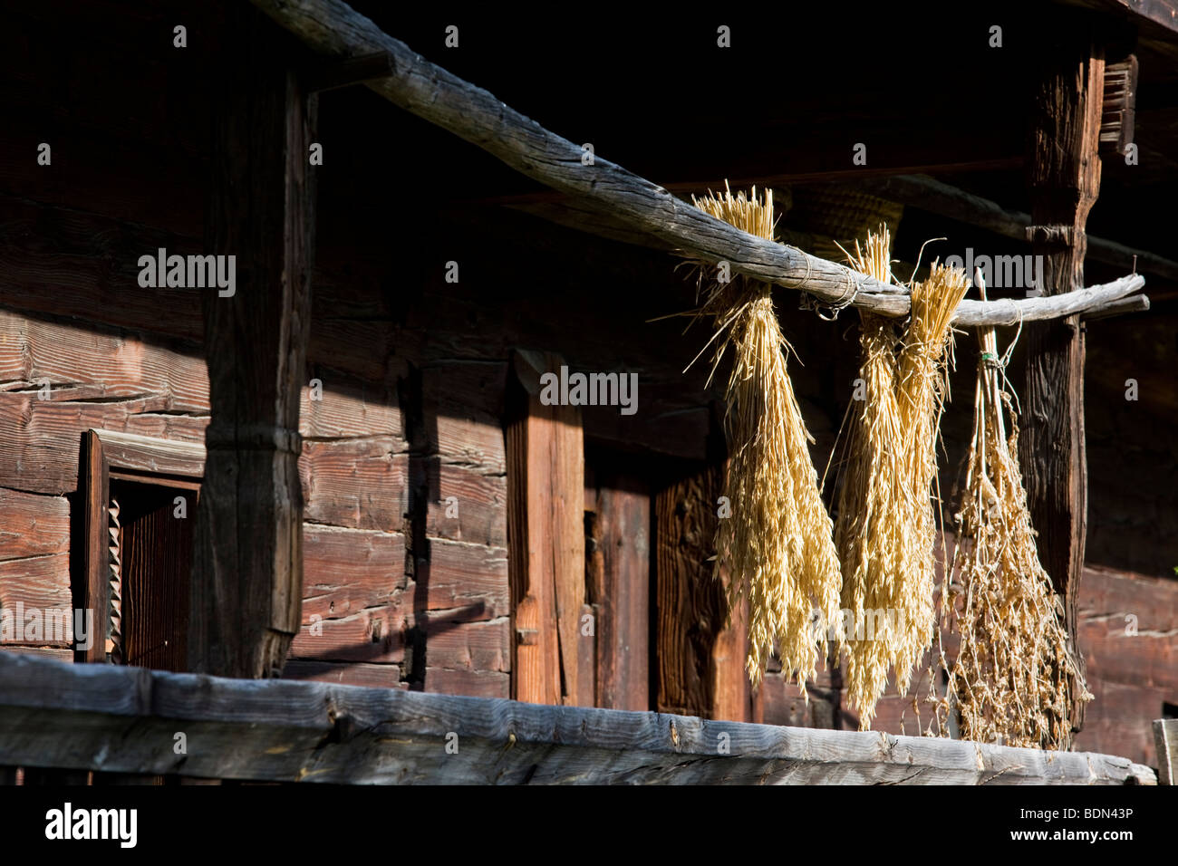 Sheaves of grain hi-res stock photography and images - Alamy