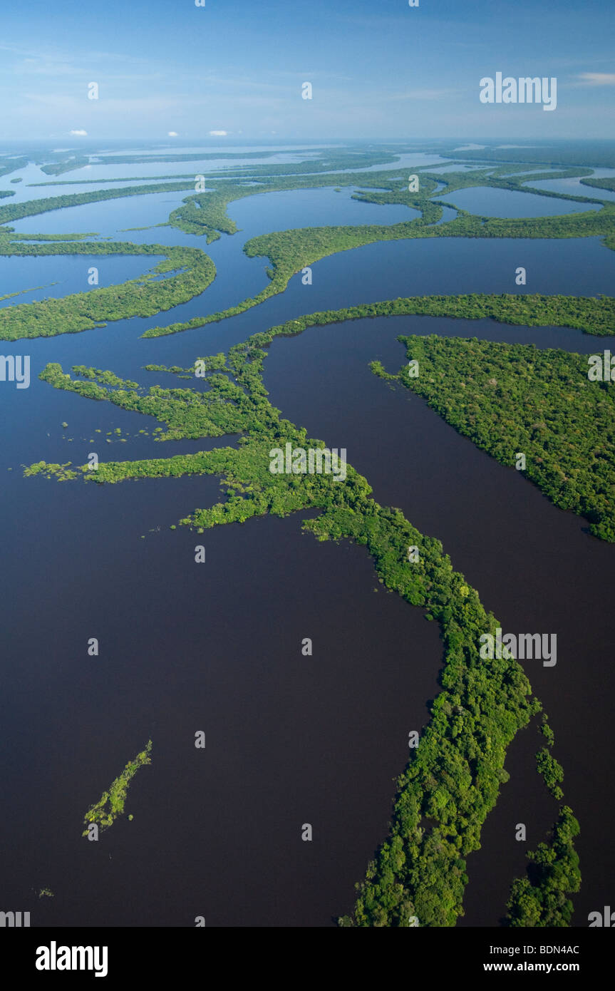 Flooded forest, Anavilhanas Archipelago, Rio Negro, Amazon, Brazil ...