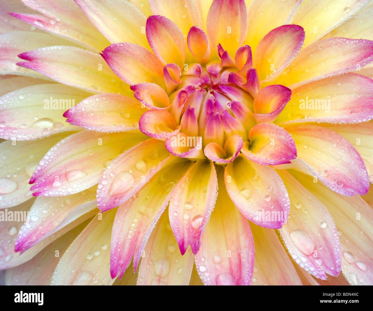 September Morn High Resolution Stock Photography and Images - Alamy