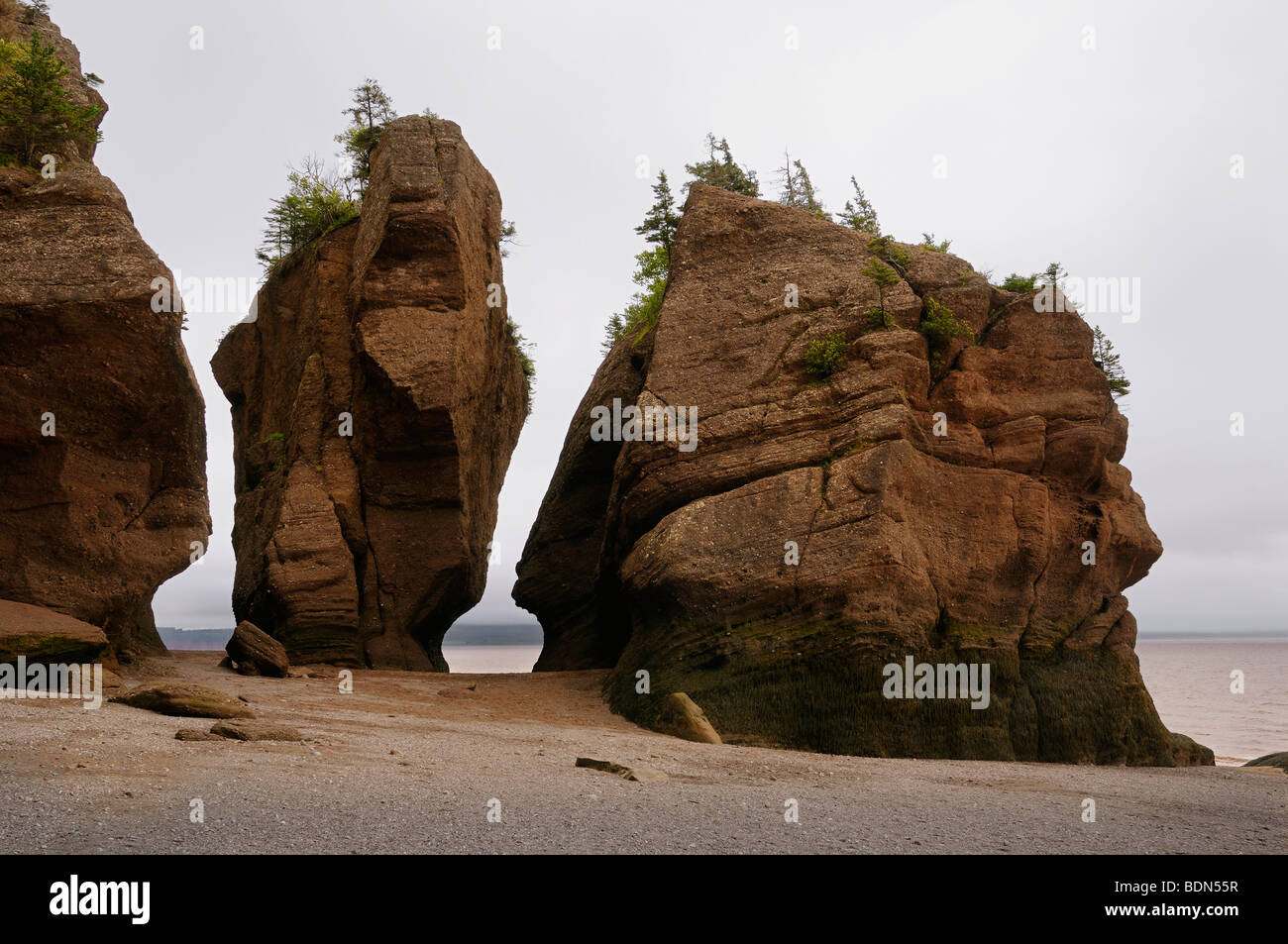 Large Flower Pot sea stacks at low tide at Hopewell Rocks Bay of Fundy ...