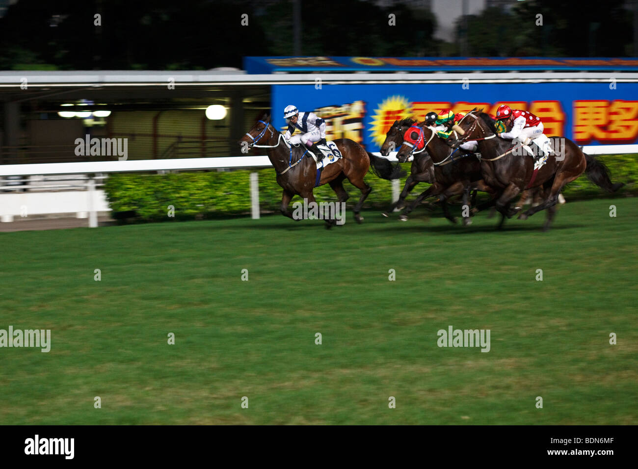 Gallop race horse hi-res stock photography and images - Alamy