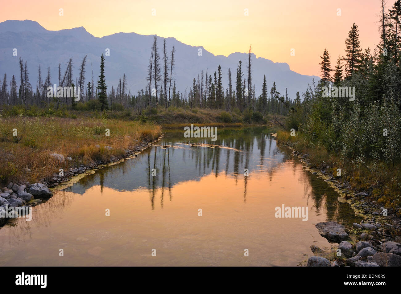 Miette mountain range hi-res stock photography and images - Alamy
