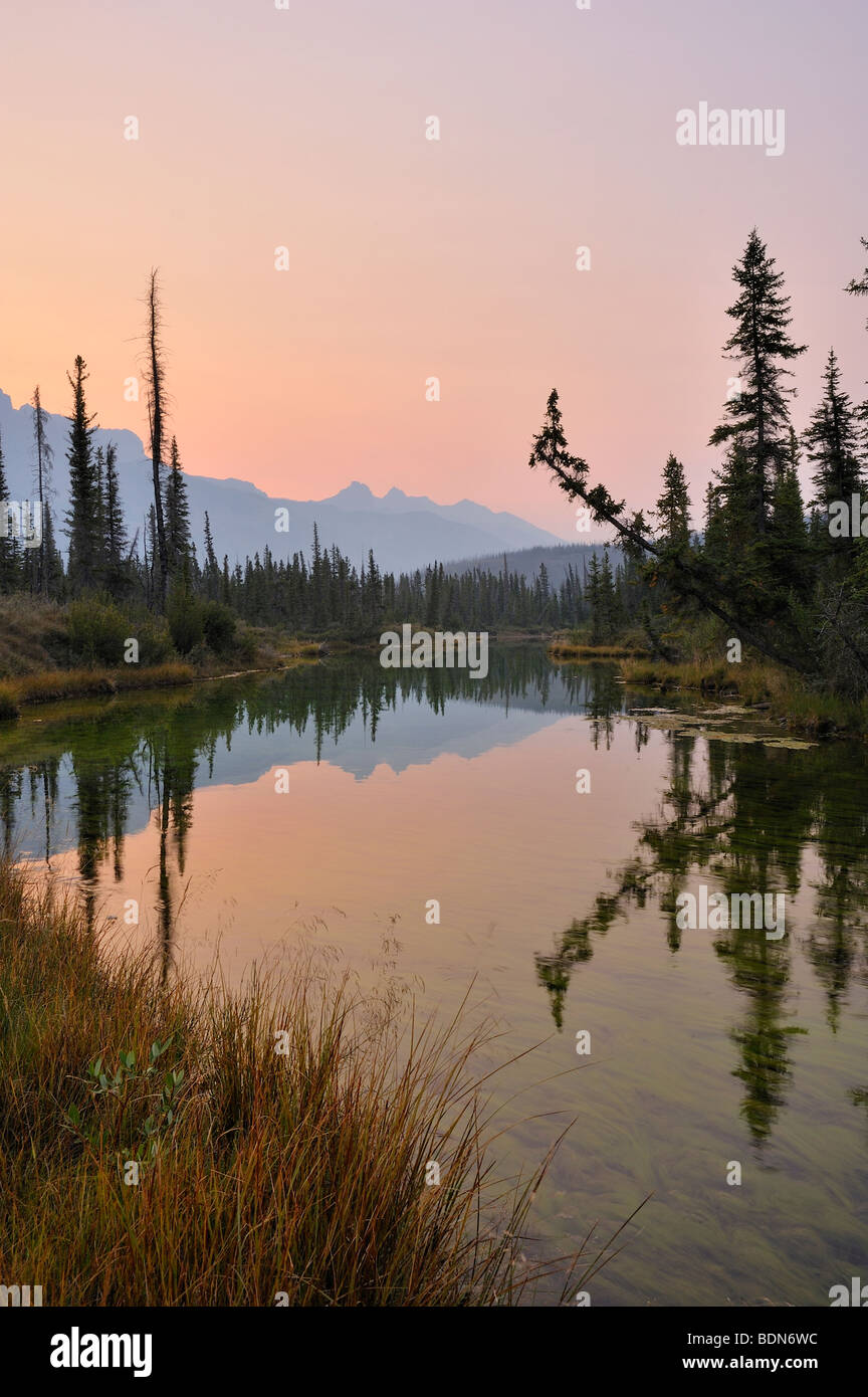 Miette mountain range hi-res stock photography and images - Alamy