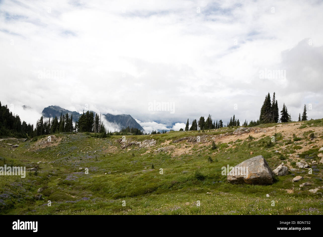 Nisqually Vista Loop Trail, Mount Rainier National Park - Early Morning ...