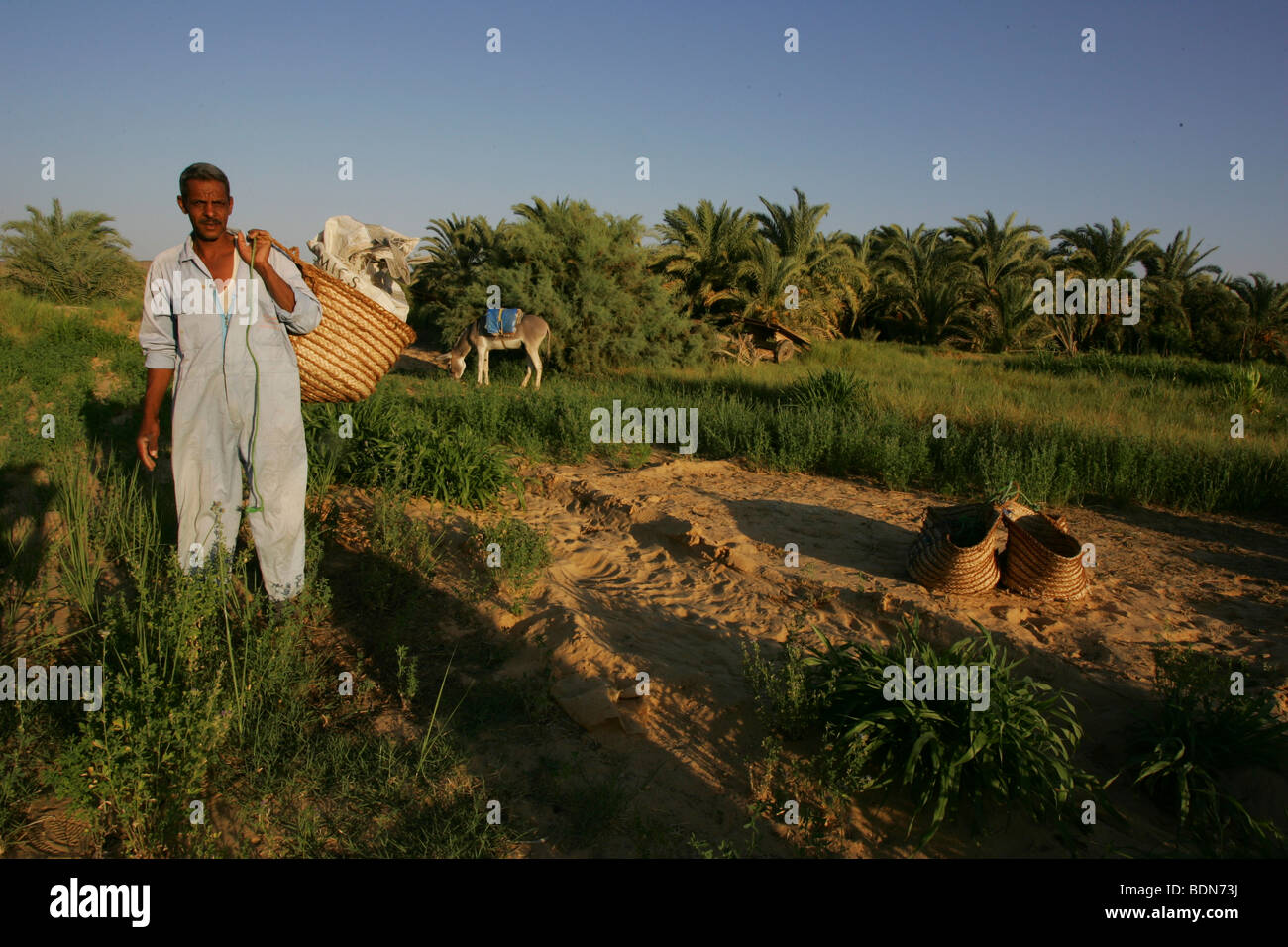 Fellah beni suef central egypt hi-res stock photography and images - Alamy