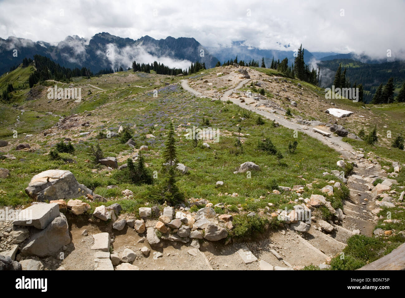 Nisqually Vista Loop Trail, Mount Rainier National Park - Early Morning ...