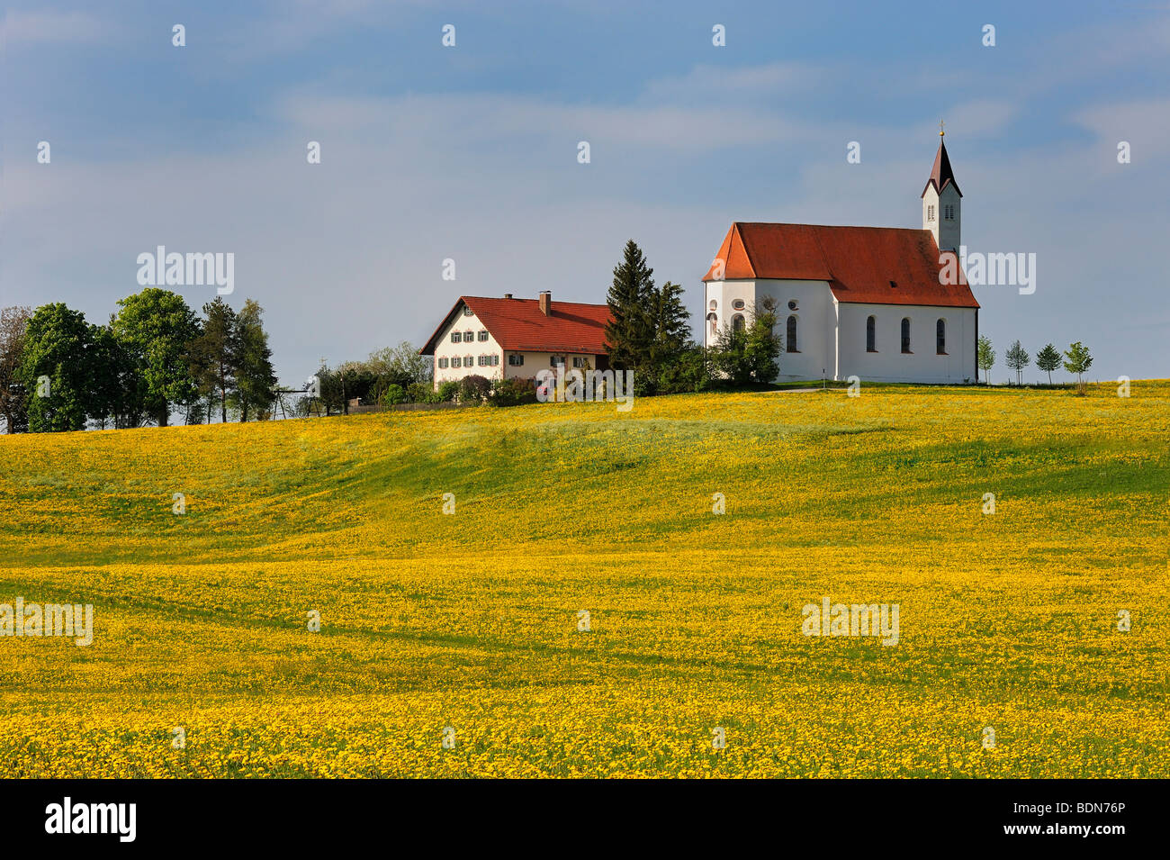 Allgaeu farm with chapel, Aitrang, Ostallgaeu, Bavaria, Germany, Europe ...