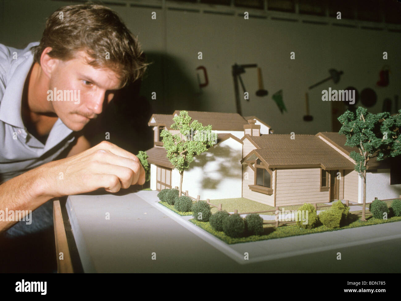 3D model home scale plant tree look real help customer see understand ...