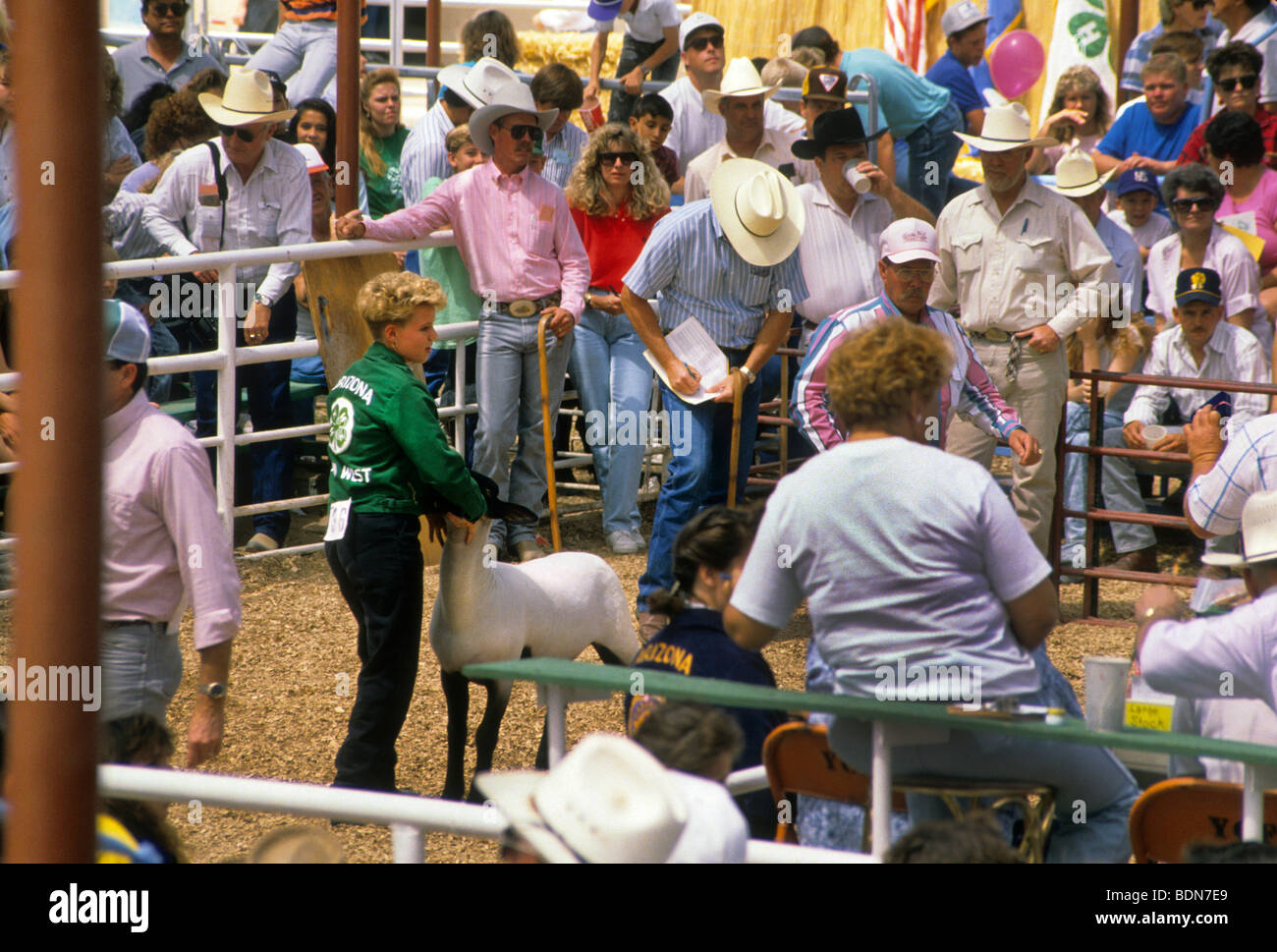 county fair farm raise care market prep display show animal husbandry ...
