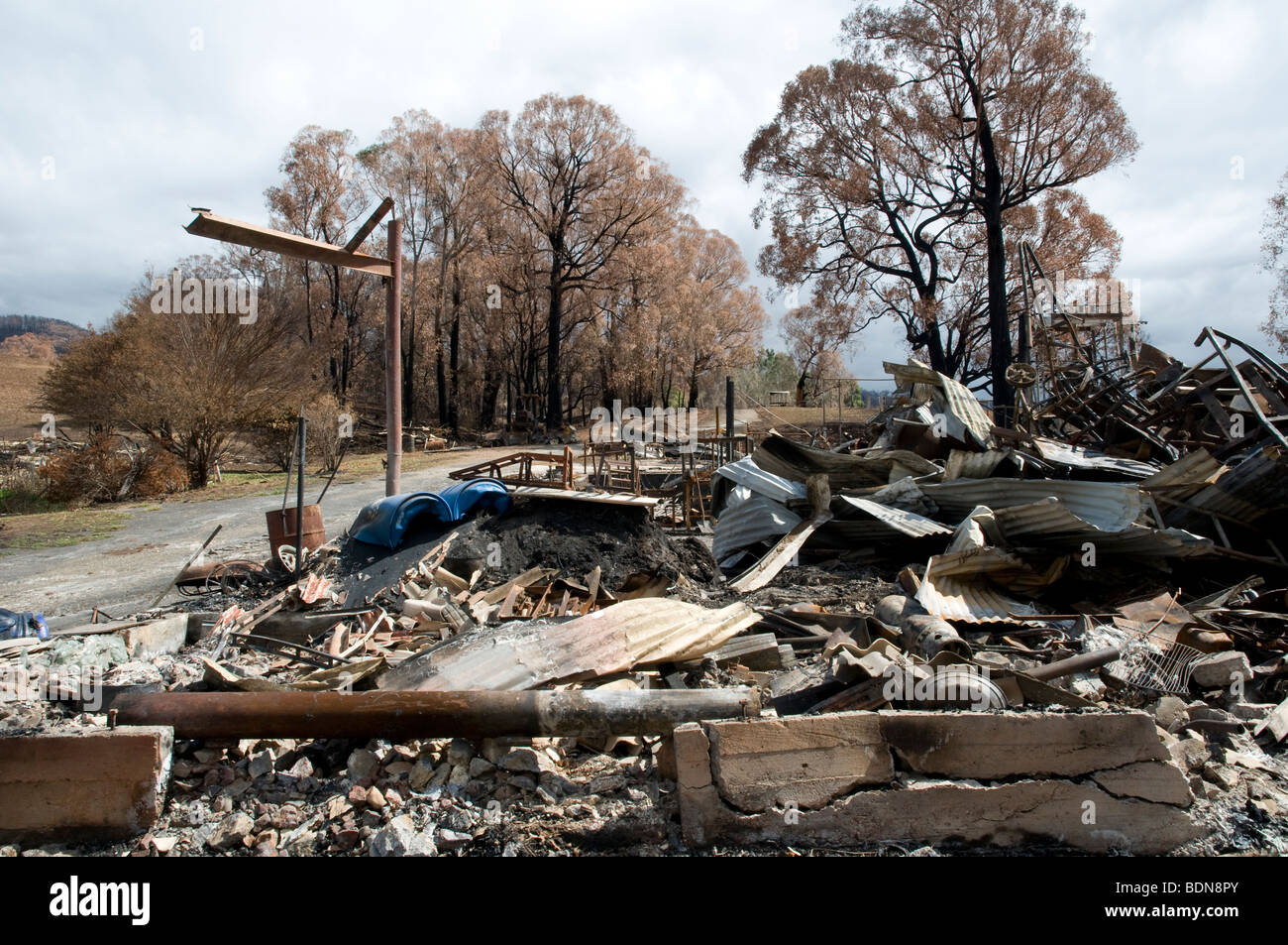 Devastation after bushfires Stock Photo - Alamy