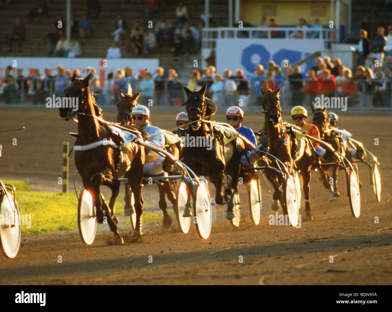 Trotting race harness racing track hi-res stock photography and images ...