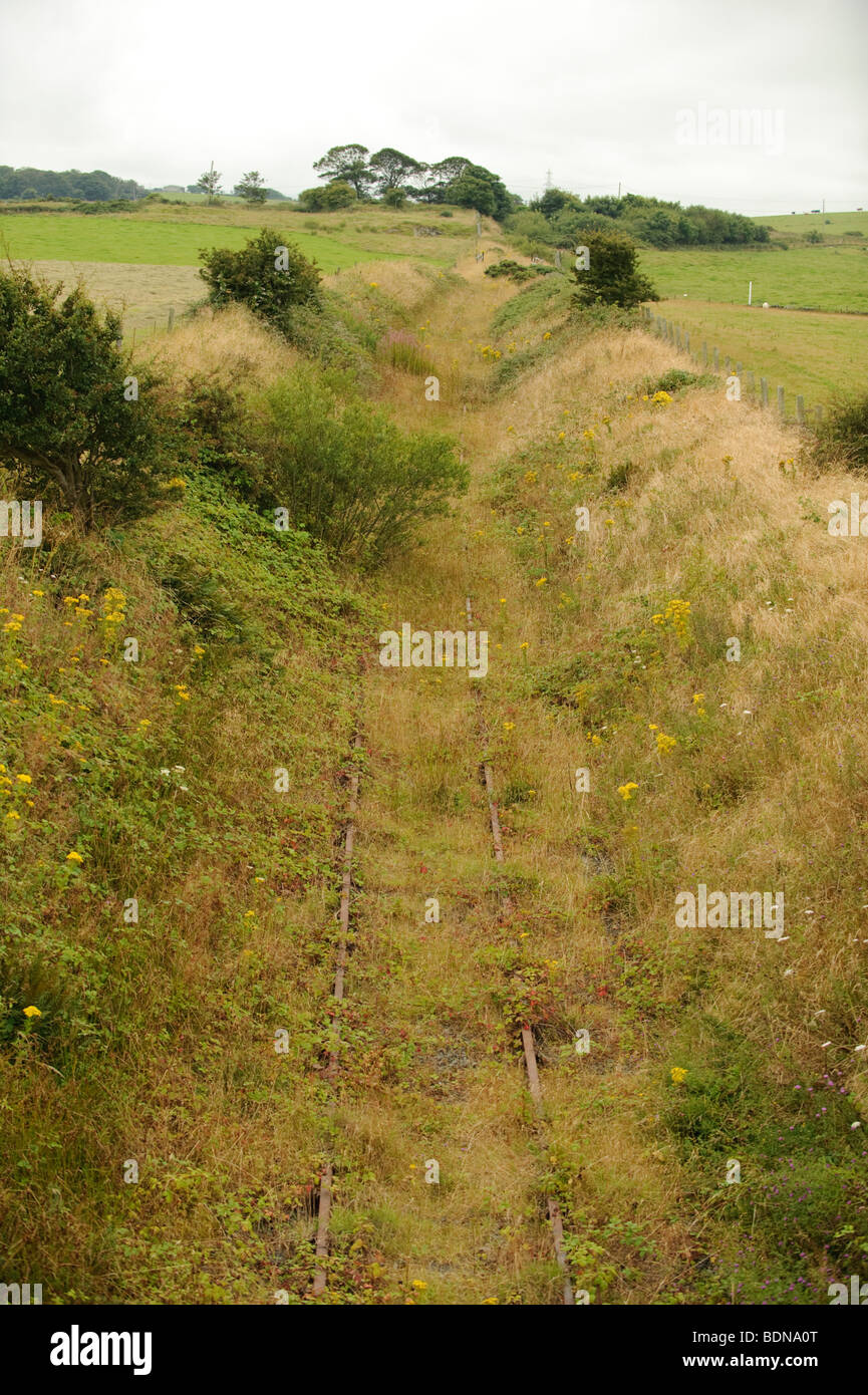 Overgrown railway track hi-res stock photography and images - Alamy