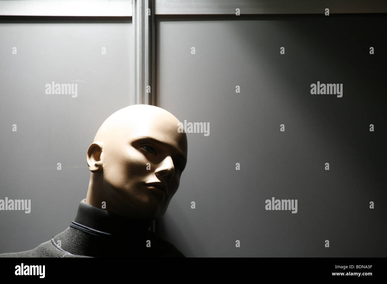 diver mannequin wearing wet suit at trade show display Stock Photo - Alamy