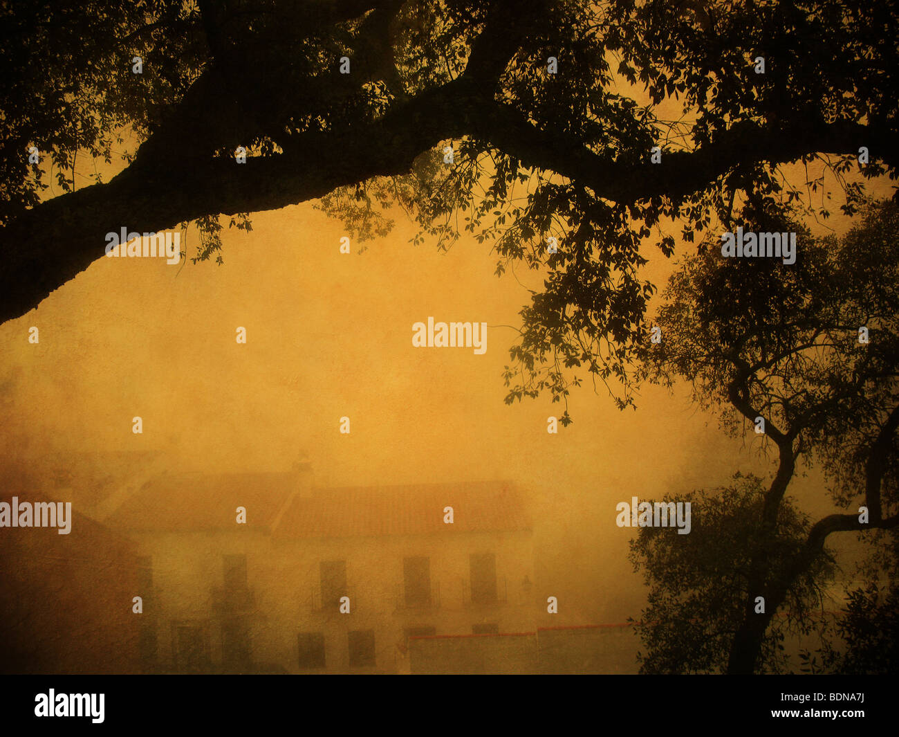 A countryside view with trees and houses in mist Stock Photo - Alamy
