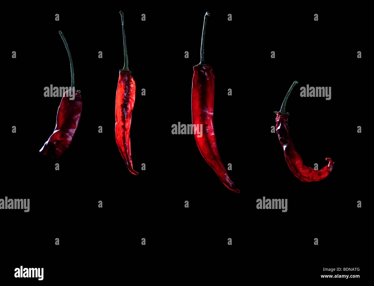 Nightshade spice hi-res stock photography and images - Alamy