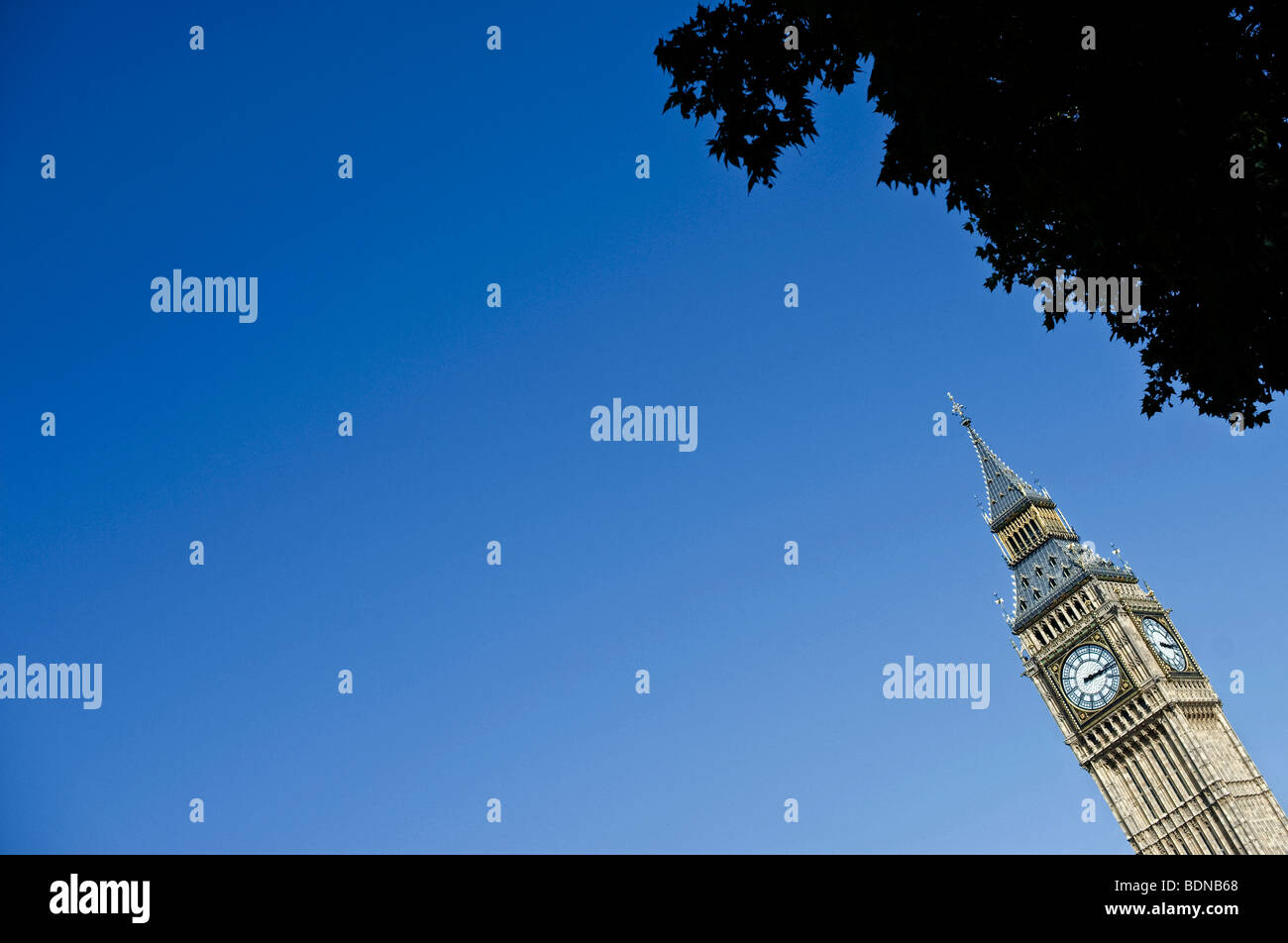 Big ben tree hi-res stock photography and images - Alamy