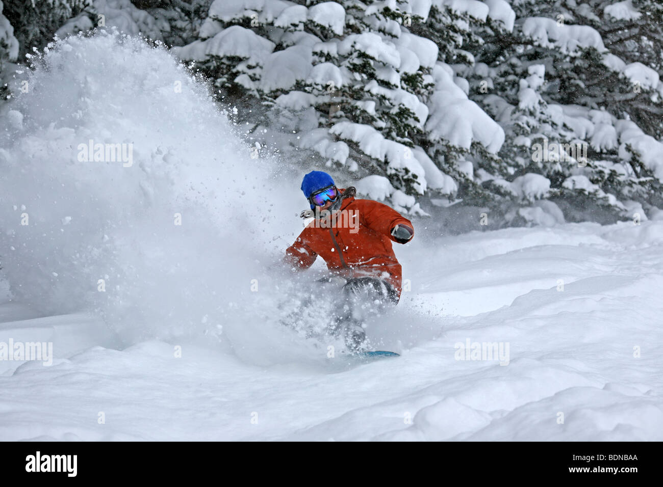 Female snowboarder carving in deep, fresh powder off piste. Brighton ...