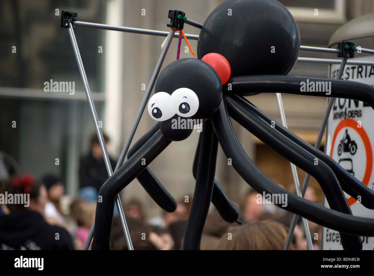 Fringe spider hi-res stock photography and images - Alamy