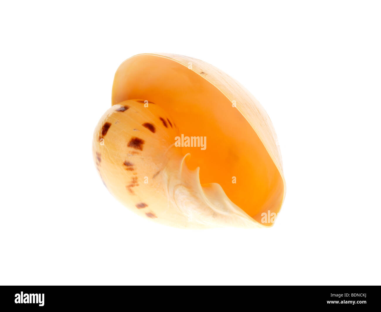 By sea Cut Out Stock Images & Pictures - Alamy