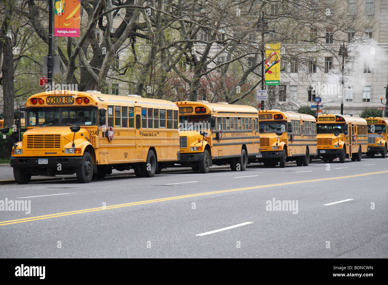 Yellow school buses High Resolution Stock Photography and Images - Alamy