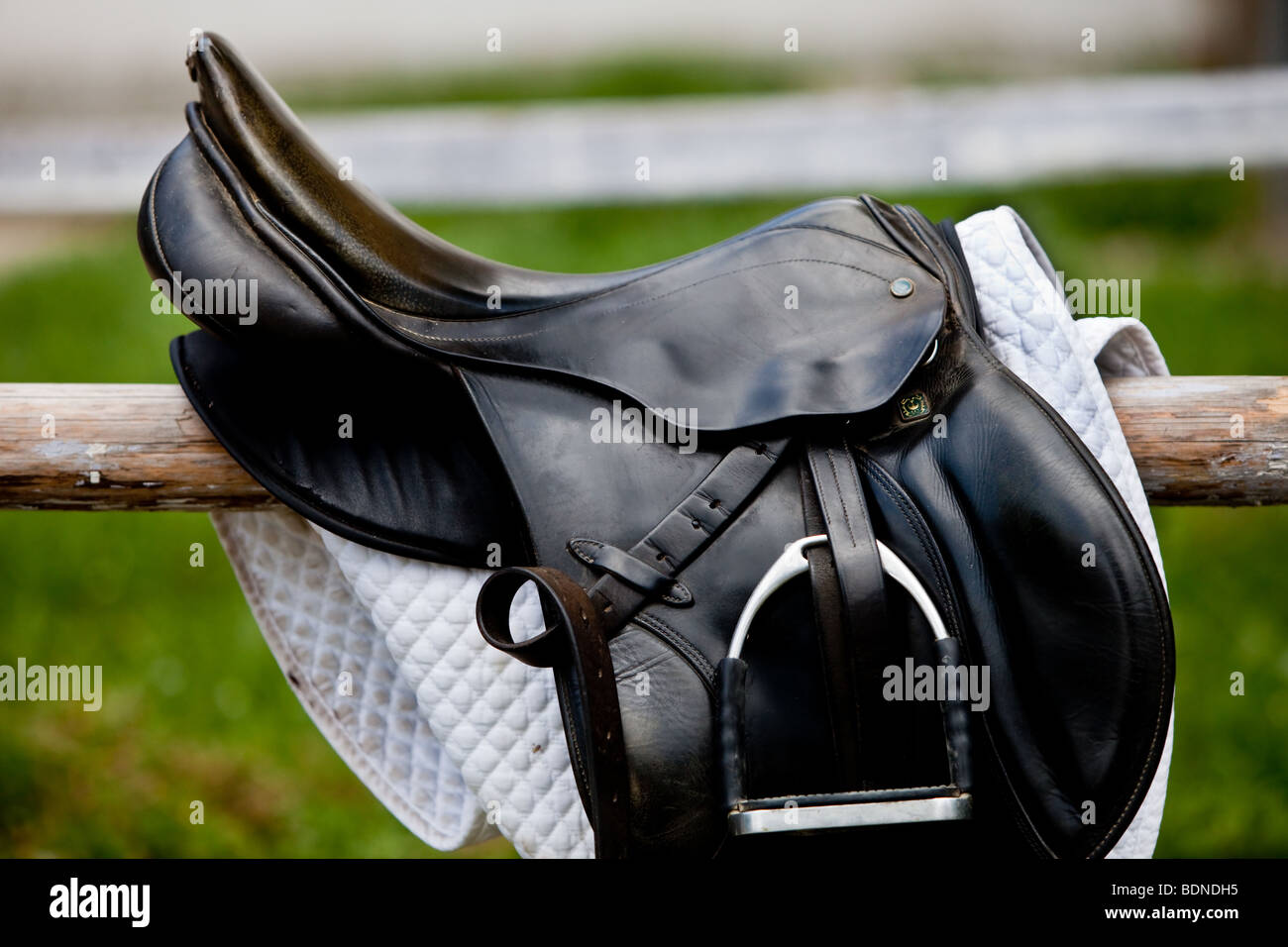 Saddle pad hi-res stock photography and images - Alamy
