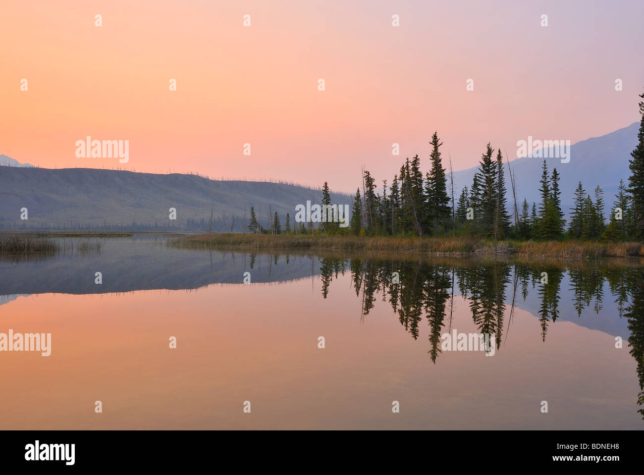 Talbot spring hi-res stock photography and images - Alamy
