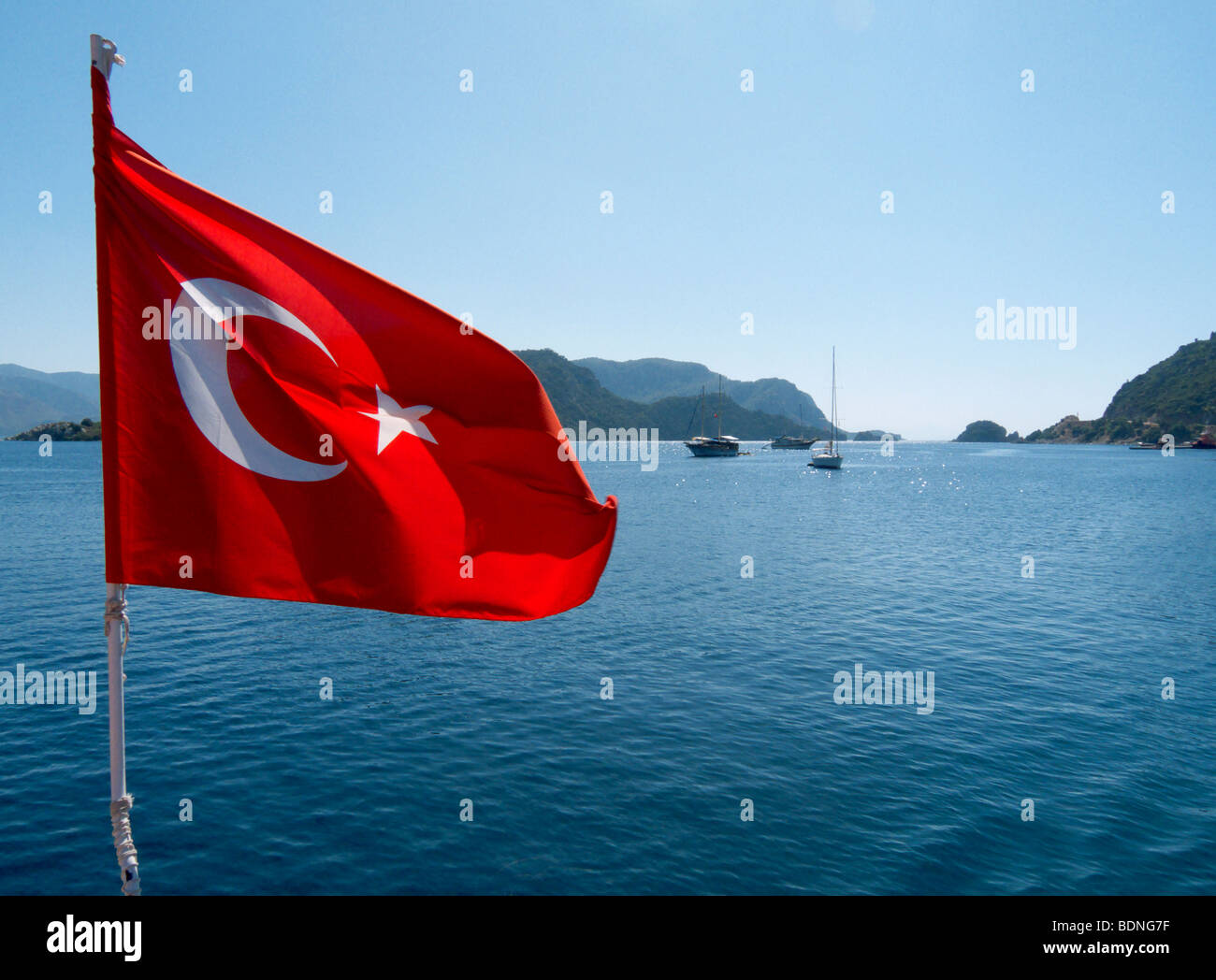 Star turkey hi-res stock photography and images - Alamy
