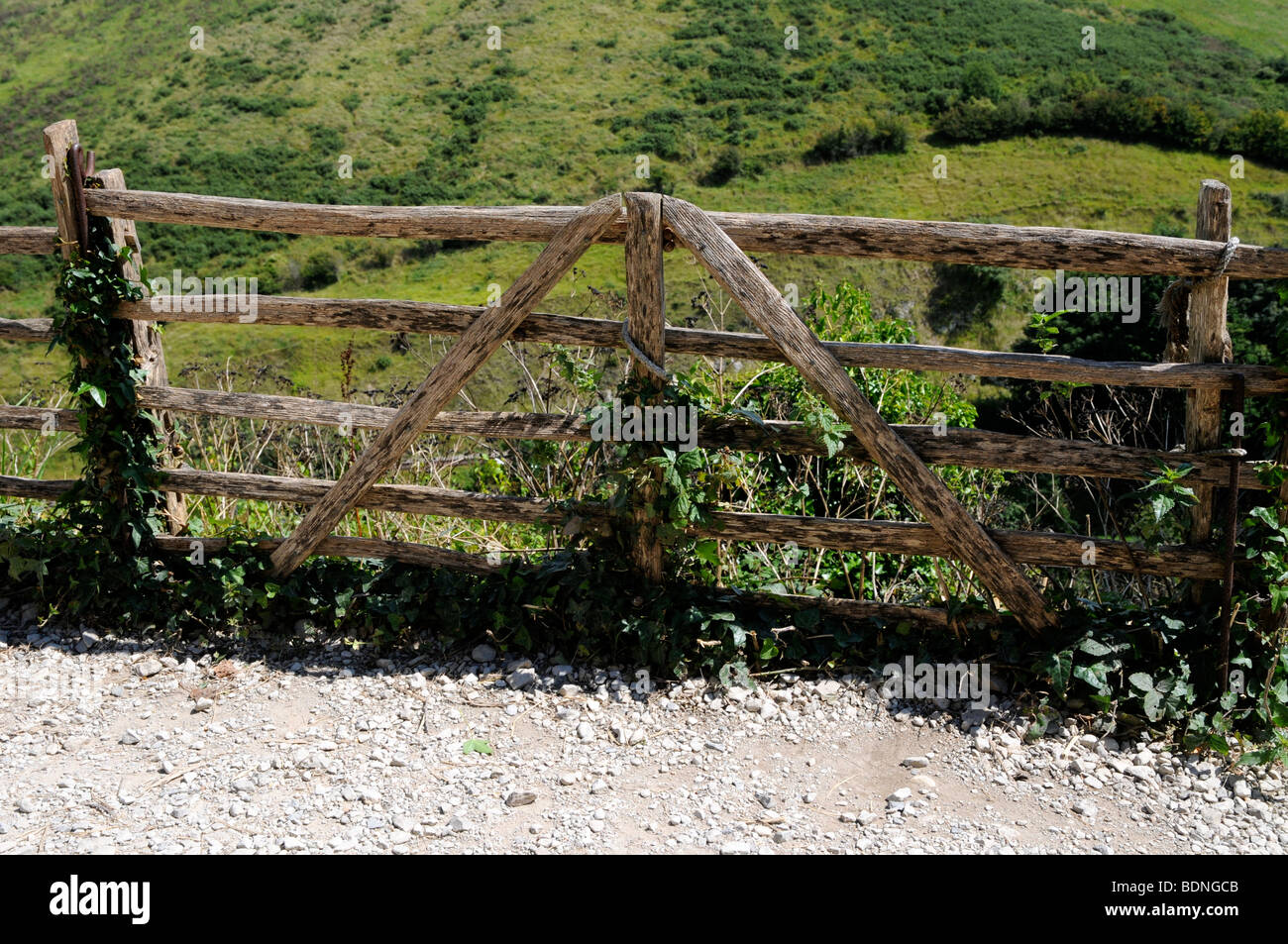 A n old wooden gate in Dorset, England Stock Photo - Alamy