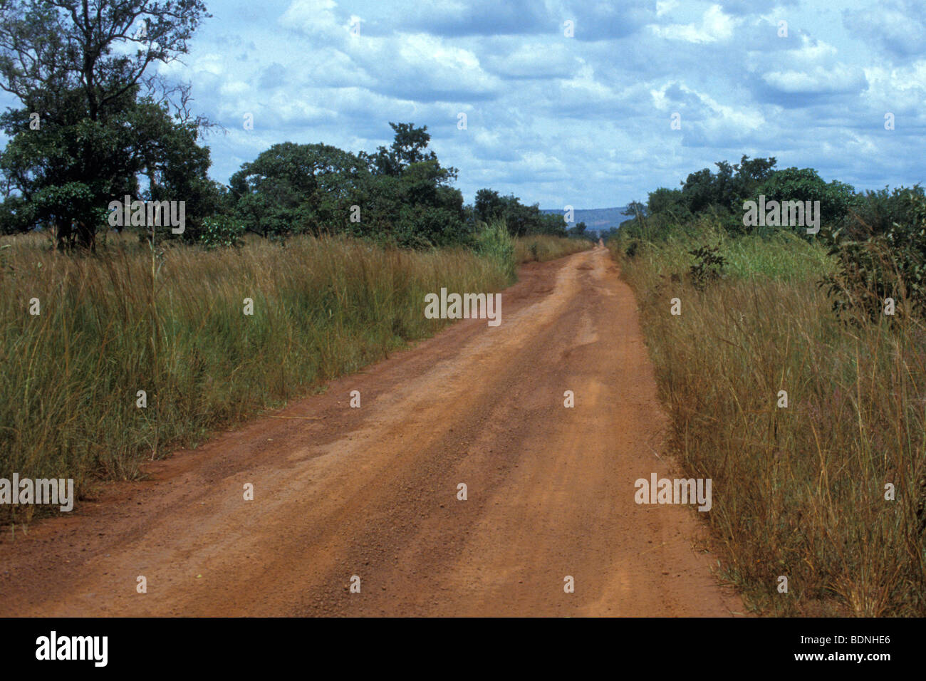 kenya, tsavo national park Stock Photo - Alamy