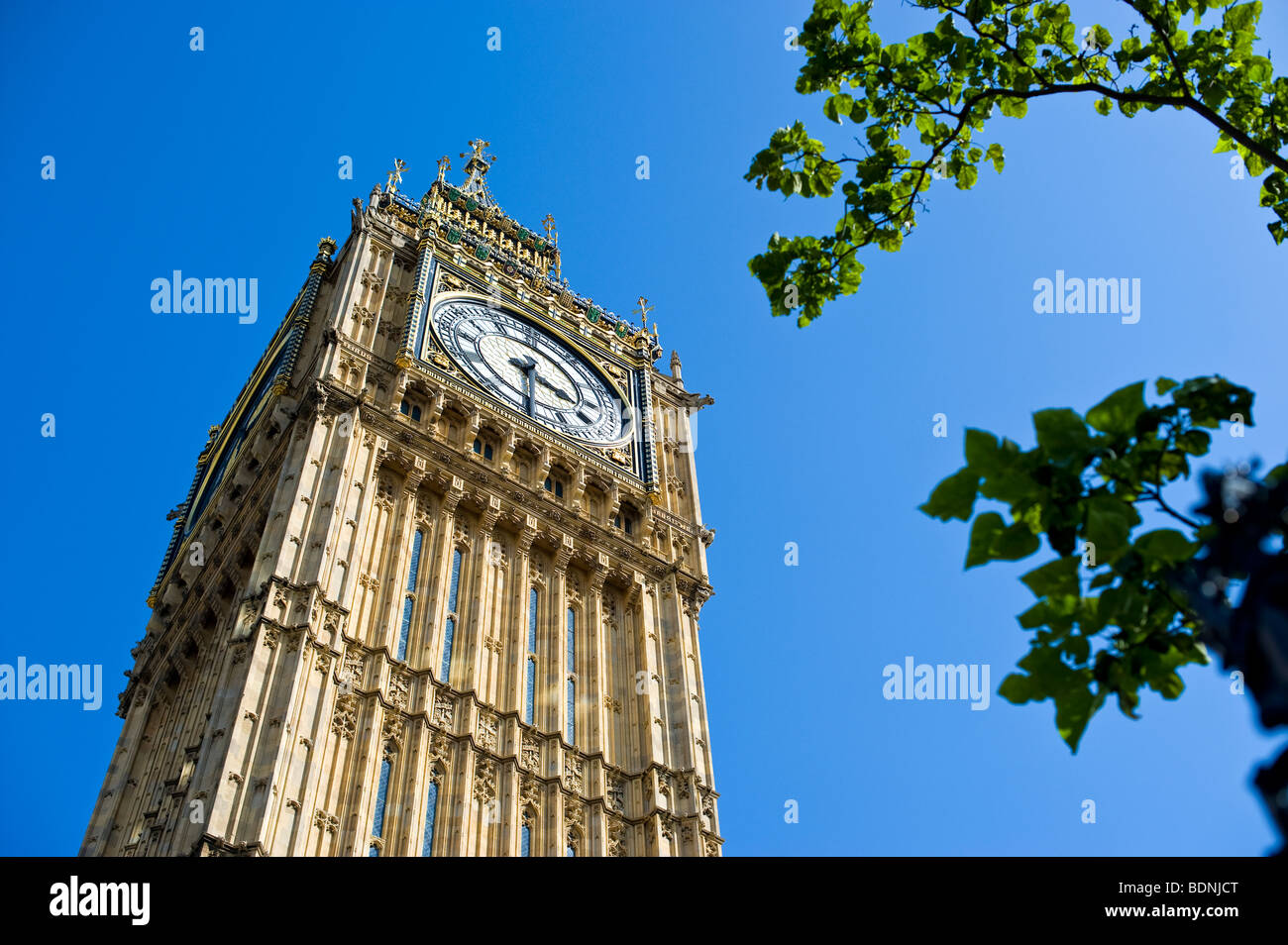 Big Ben Tree High Resolution Stock Photography and Images - Alamy