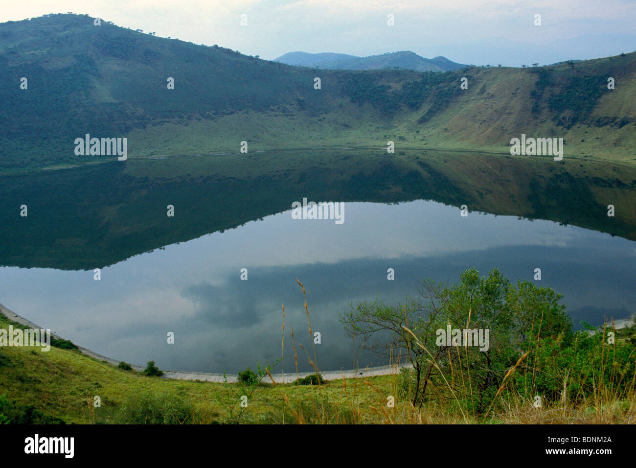 kenya, tsavo national park Stock Photo - Alamy