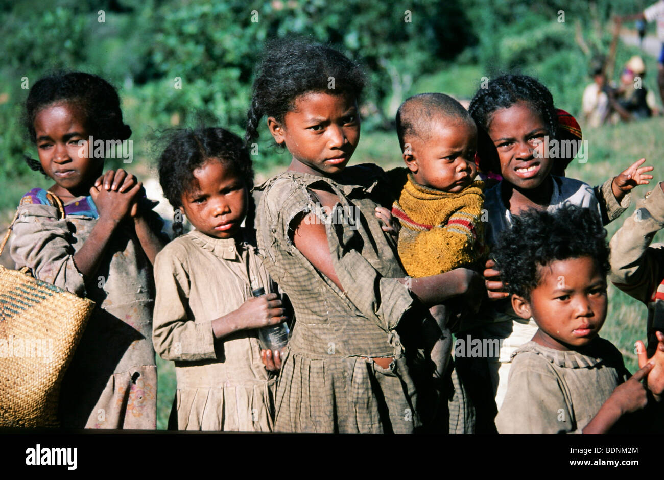 Madagascarian hi-res stock photography and images - Alamy