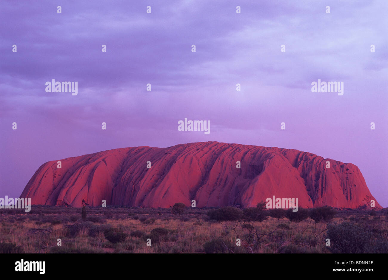 Australia, Uluru at dusk Stock Photo - Alamy
