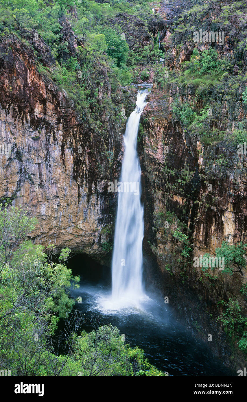 Australia, Queensland, Waterfall in rainforest Stock Photo - Alamy