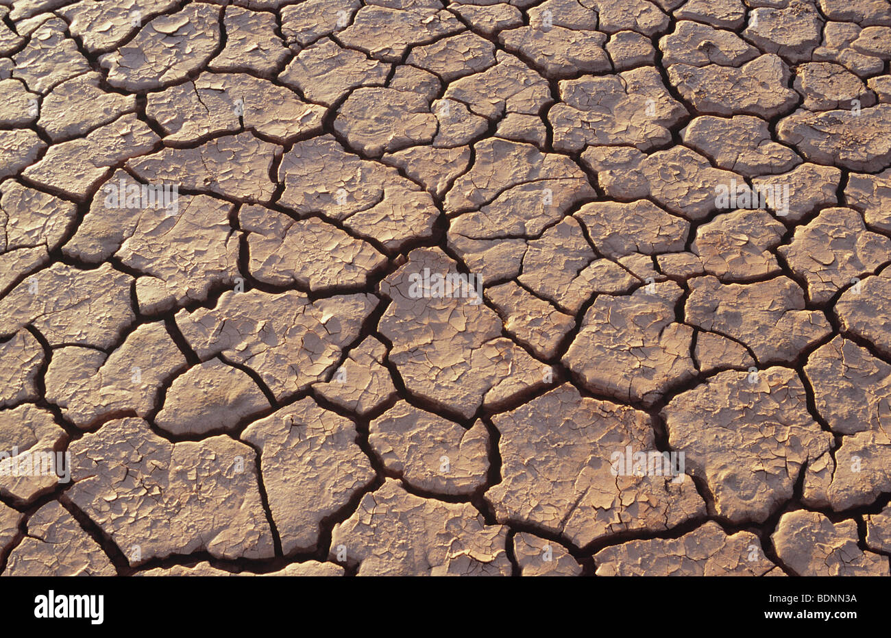 Cracked earth in desert, full frame Stock Photo - Alamy