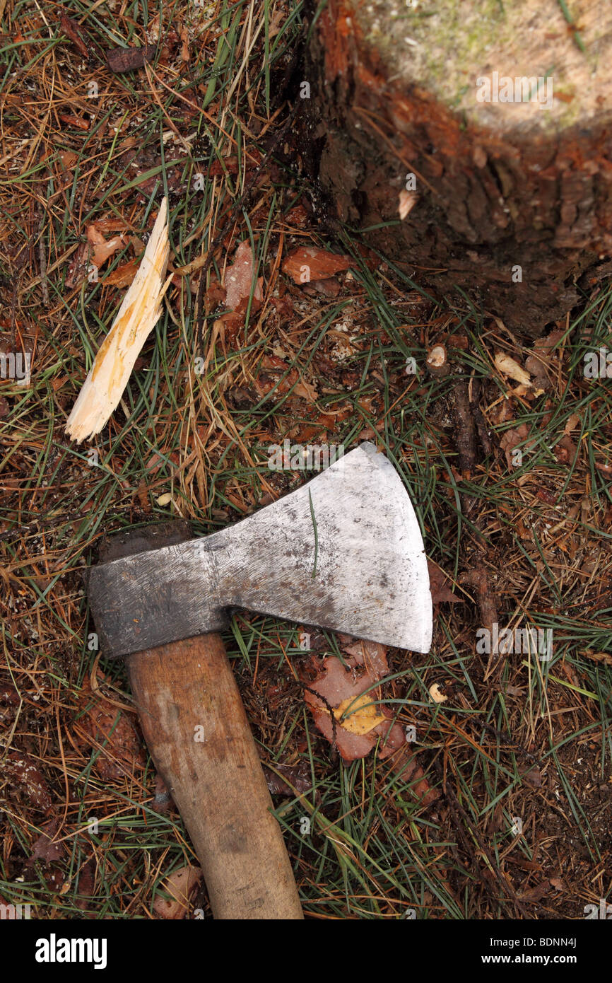 Felling axe hi-res stock photography and images - Alamy