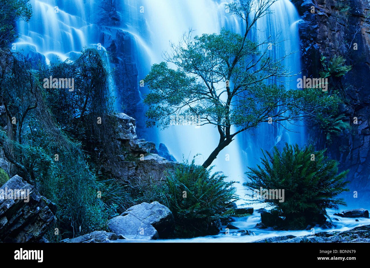 Australia, waterfall in forest Stock Photo - Alamy