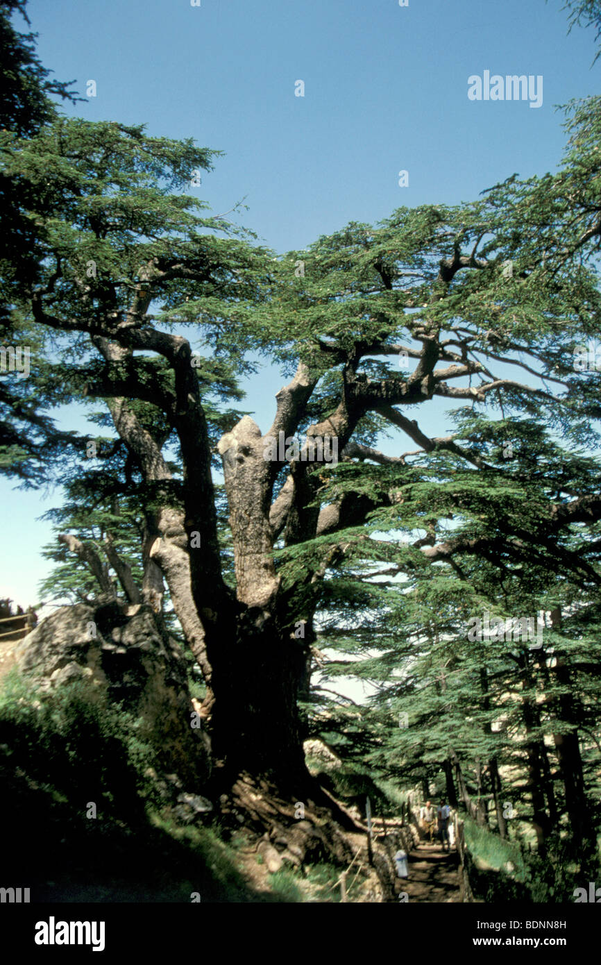 Bombing beirut lebanon war hi-res stock photography and images - Alamy