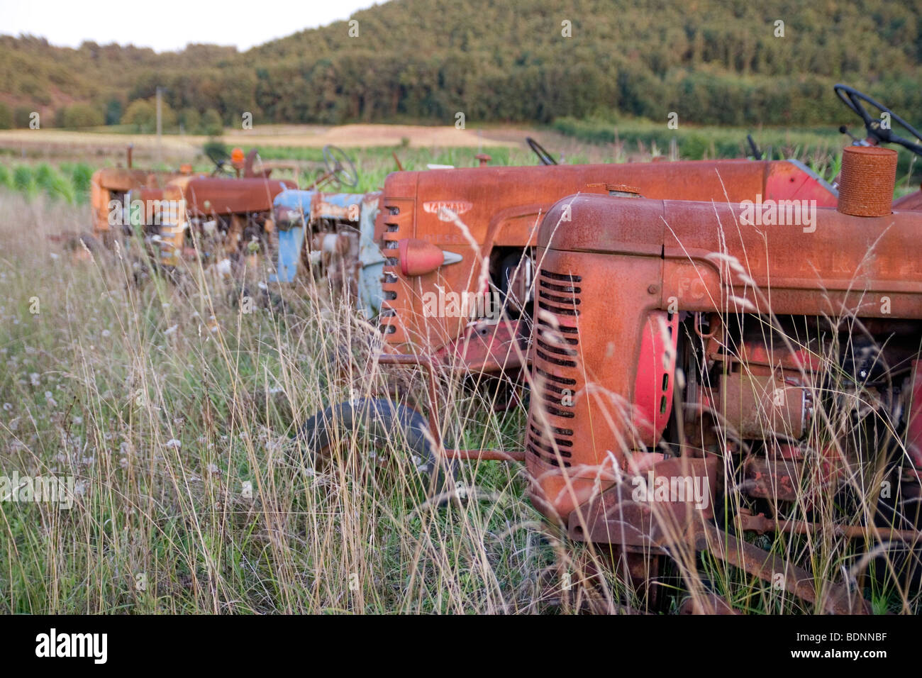 vintage French tractors slowly decaying in a field near Prayssac in the ...