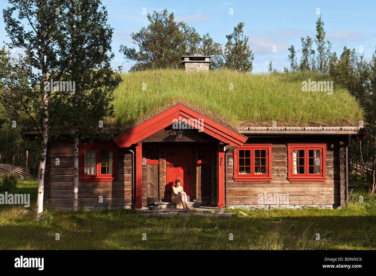 Summertime in Norway. A grass-roofed hut forms part of a traditional ...