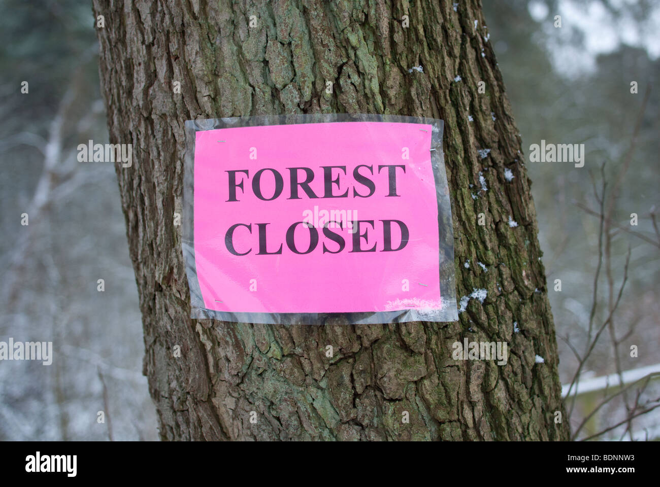 Forest Closed sign on tree Stock Photo - Alamy