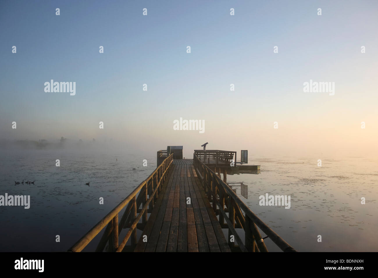 Wetlands observation platform hi-res stock photography and images - Alamy