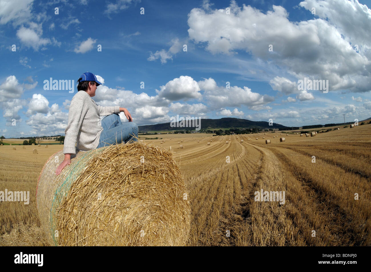 A young boy in a field with hay bales Stock Photo - Alamy