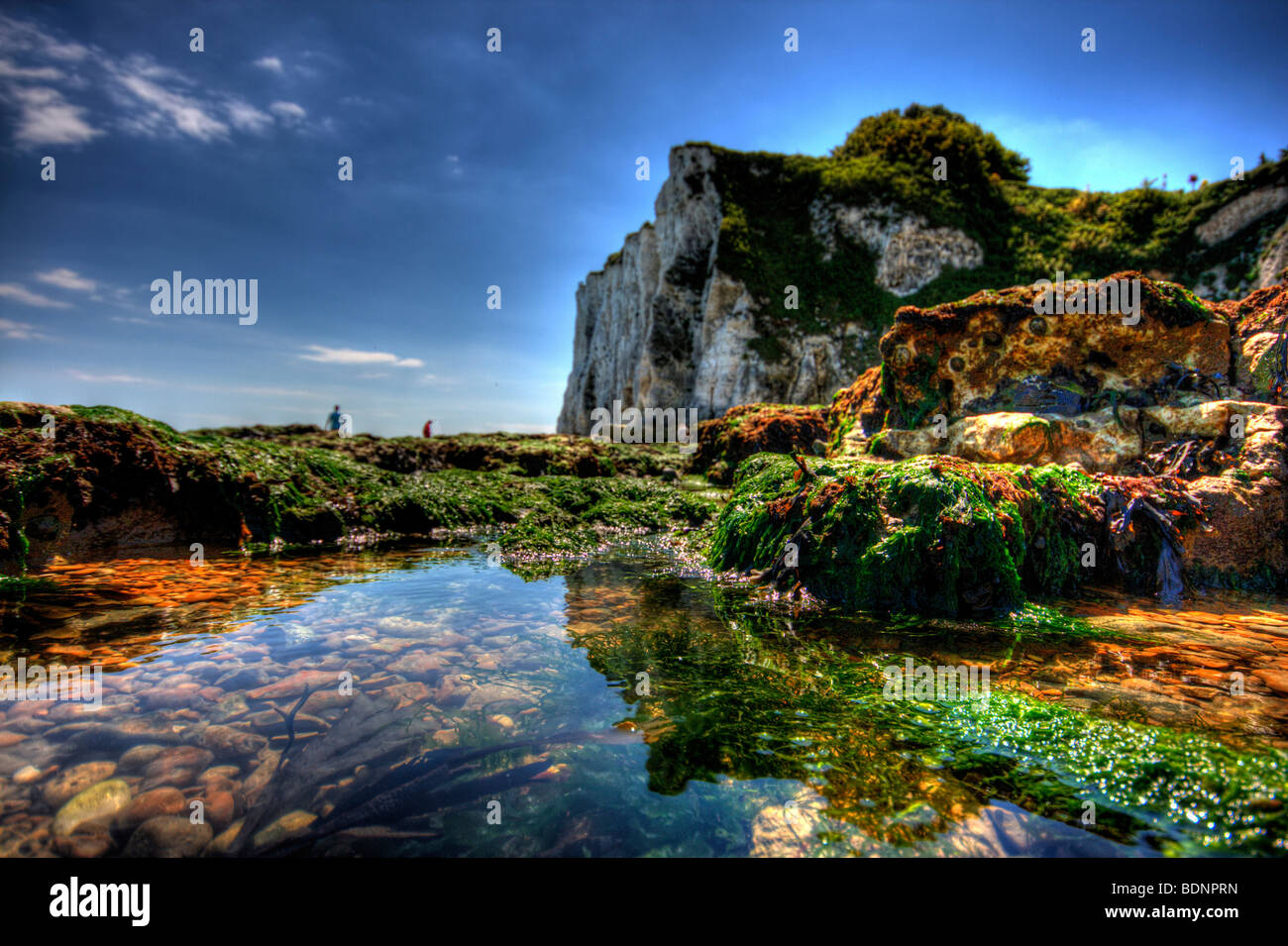 Reflections and clear water of a tide pool with chalk white cliffs of ...
