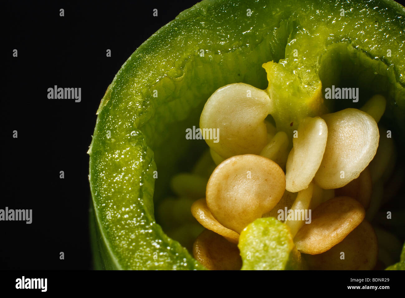 Chilli close up hi-res stock photography and images - Alamy