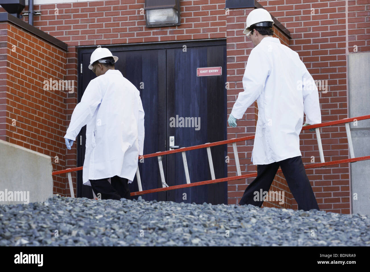 Two scientists carrying a ladder Stock Photo - Alamy