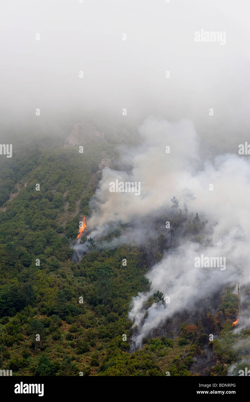 Wildfire flames forest daytime hi-res stock photography and images - Alamy